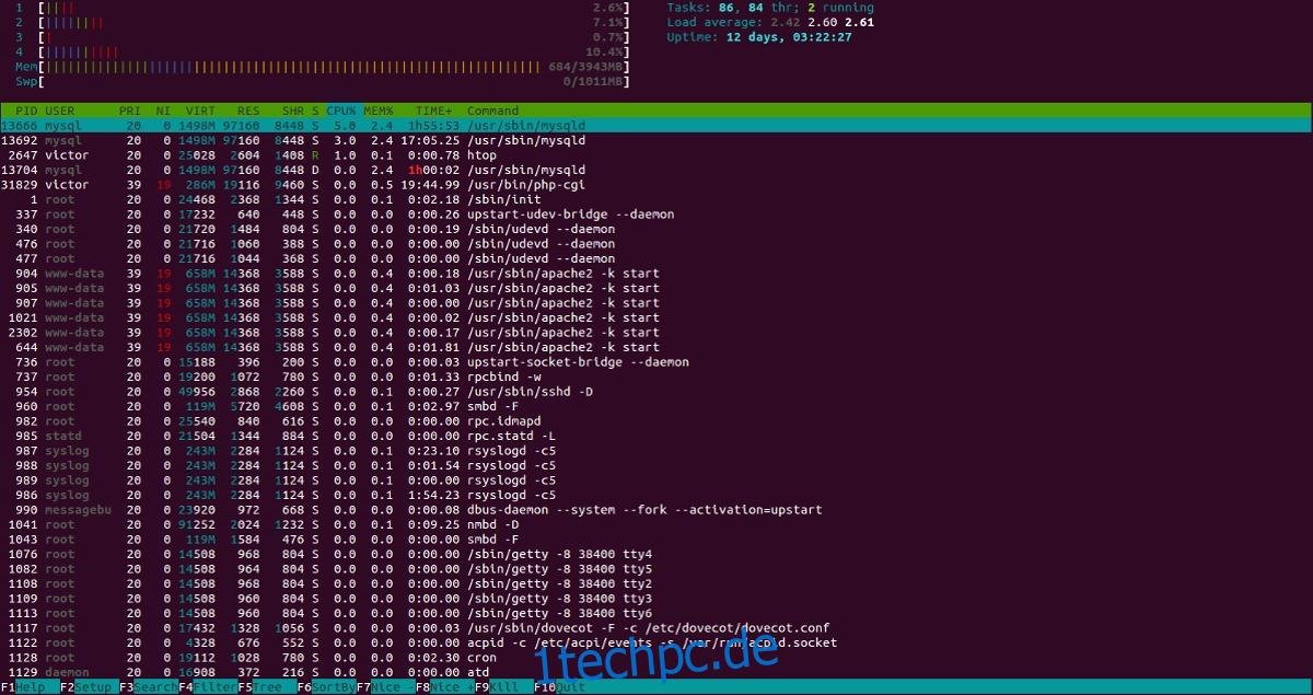 Die 5 besten Betriebssysteme für Ihren Linux-Server